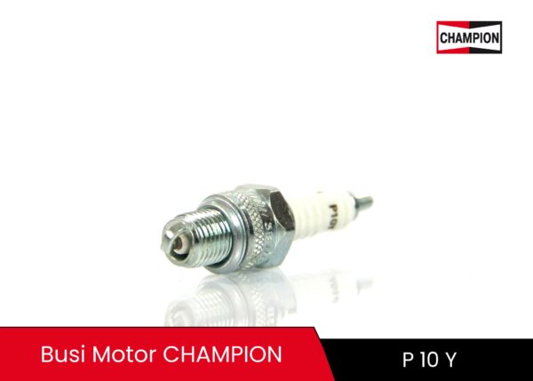 P 10 Y - Busi Champion