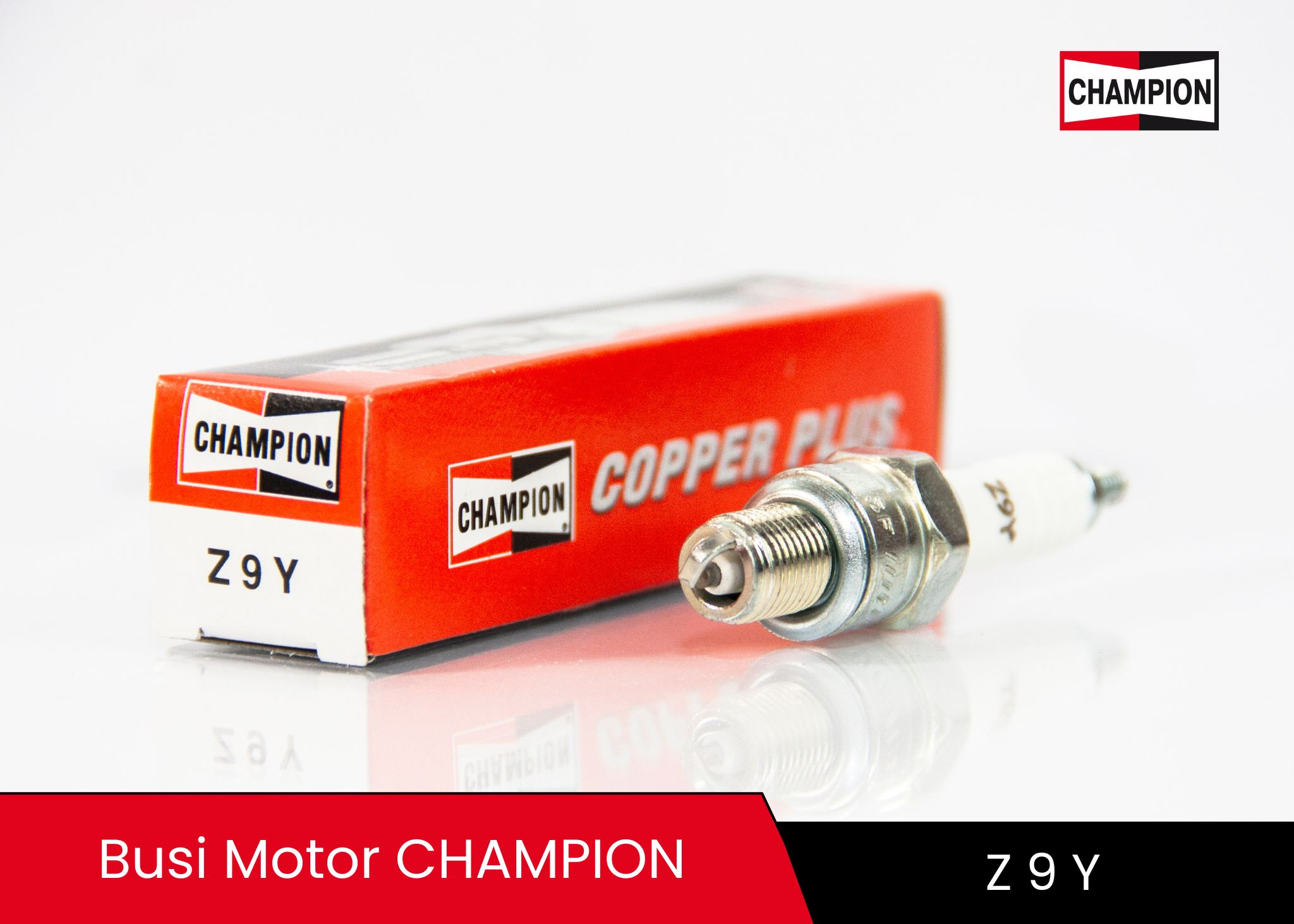 Z 9 Y - Busi Champion